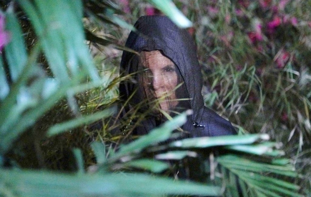 The Bold and the Beautiful's Kimberlin Brown Reacts to Sheila's ...